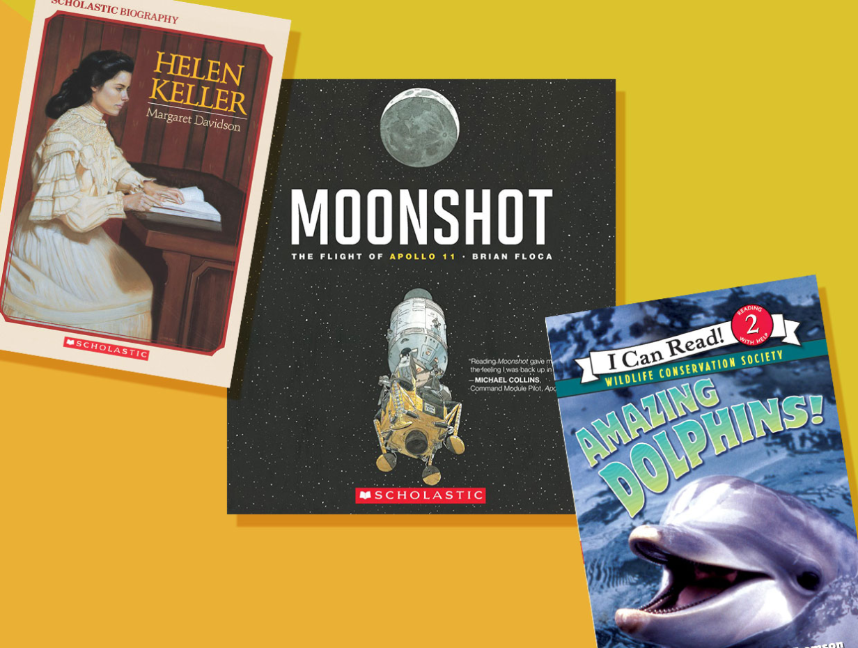Guided Reading Level N Book List