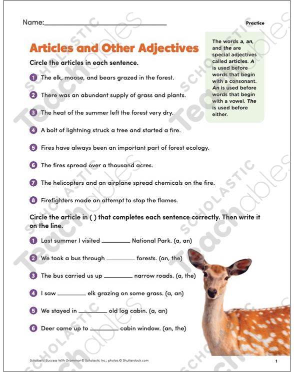 Adjectives And Articles Worksheets ARTICLES Worksheet Free ESL