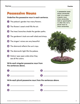 Possessive Nouns Grade 5 Printable Test Prep Tests