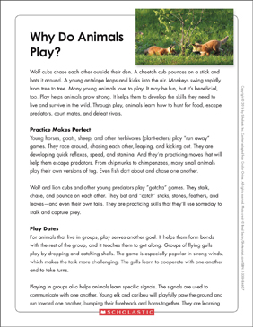 Product Detail Page