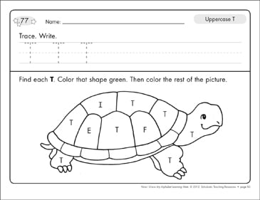Turtles Worksheets