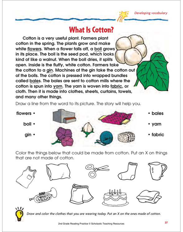 What Is Cotton?: Passage & Activity—Developing Vocabulary | Printable ...