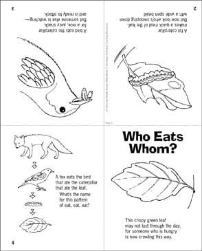 food chain coloring pages printable
