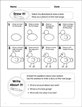 how to draw number bird
