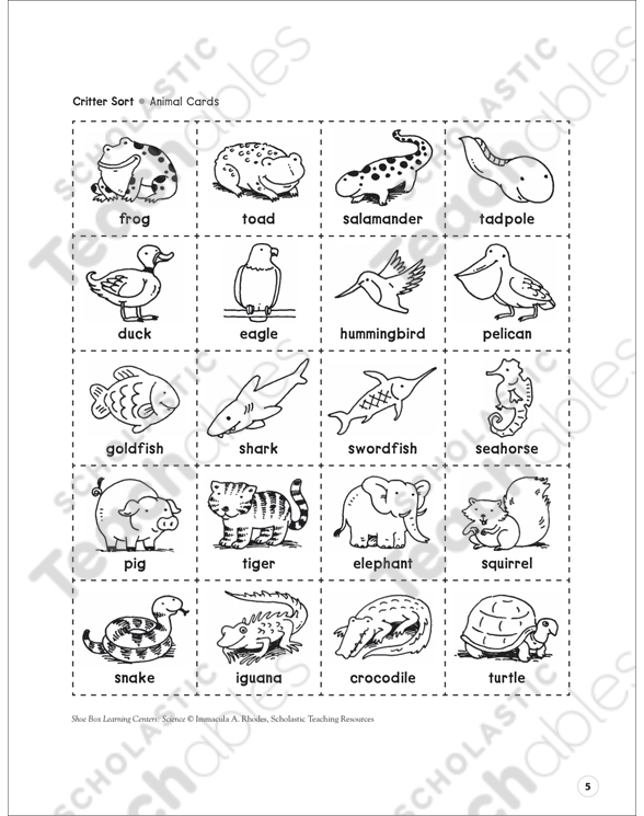 Critter Sort (Animals): Life Science Shoe Box Learning Center ...