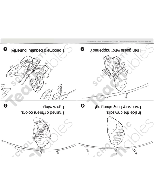 life cycle of a butterfly coloring pages