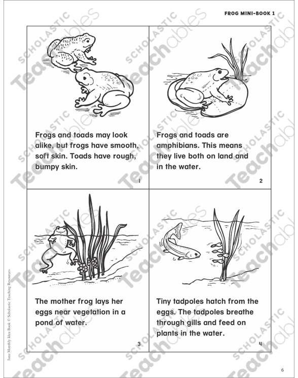 Frogs: Ideas and Activities | Printable Lesson Plans, Ideas, Games and ...
