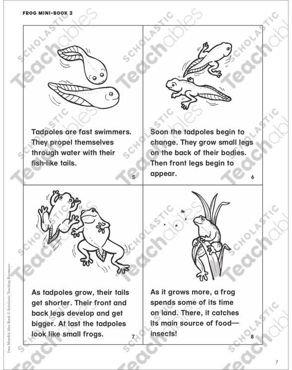 Frogs: Ideas and Activities | Printable Lesson Plans, Ideas, Games and ...