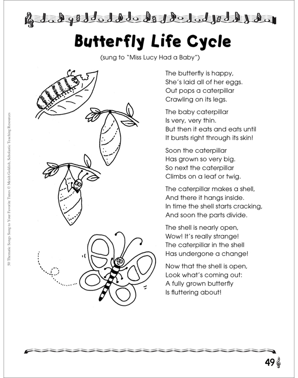 Butterfly Life Cycle: Thematic Song | Printable Texts