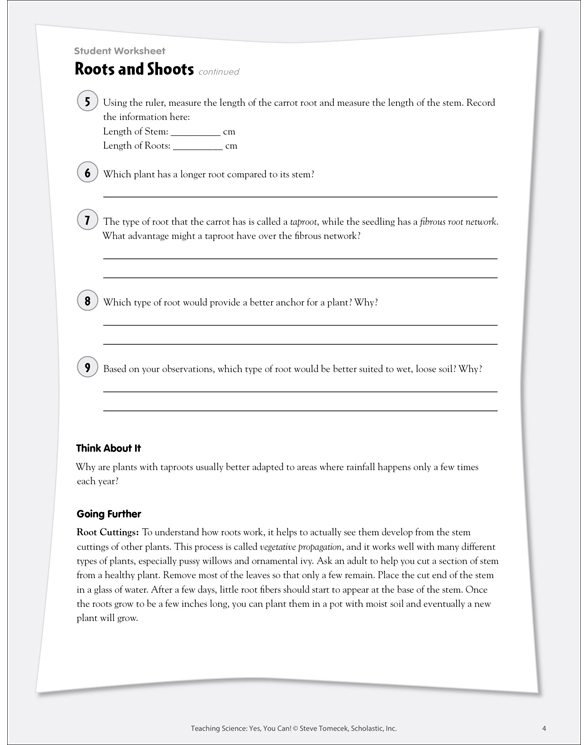 The Root of the Matter (Plant Roots and Structure) | Printable Lesson ...
