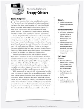 Product Detail Page