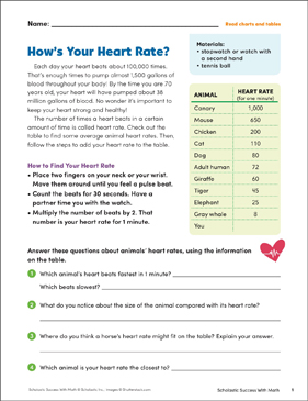 Heart Rate Worksheets