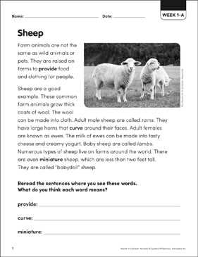 Product Detail Page