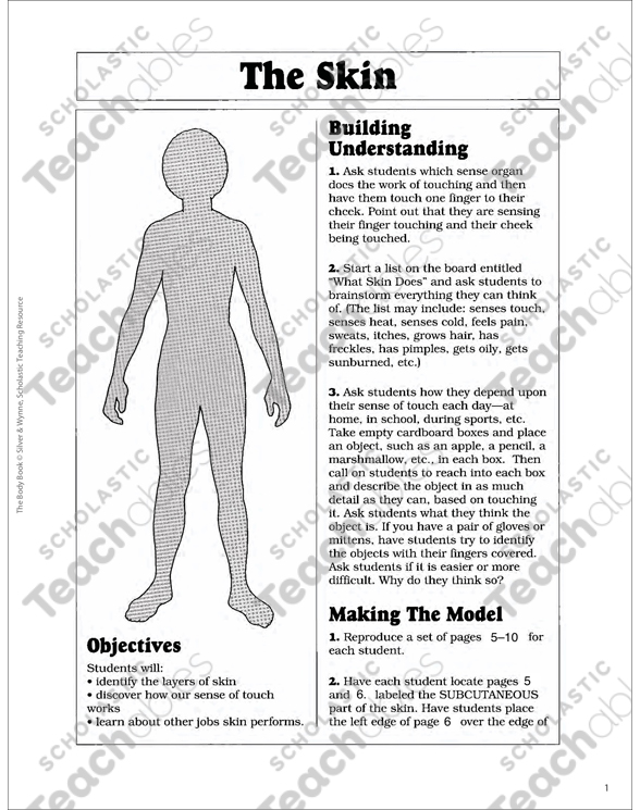 Parts Of The Skin And Their Functions For Grade 3 Worksheets