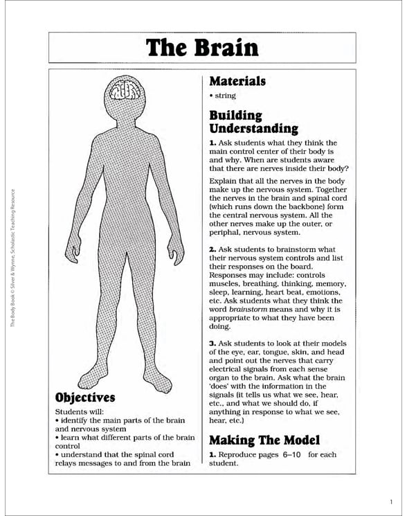 The Brain | Printable Lesson Plans and Ideas