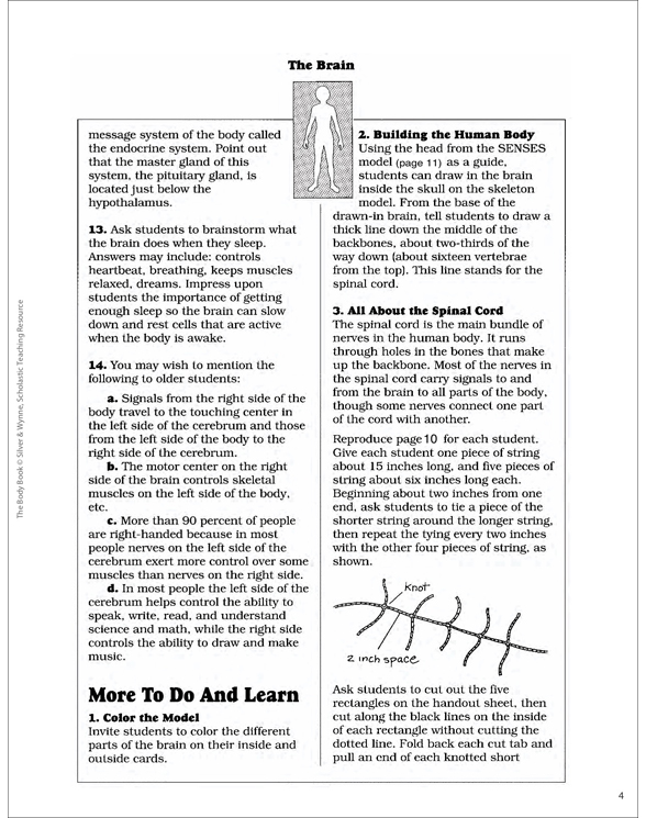 The Brain | Printable Lesson Plans and Ideas