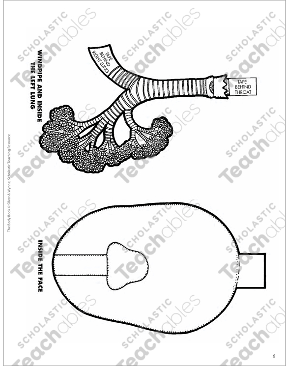 lung coloring sheet