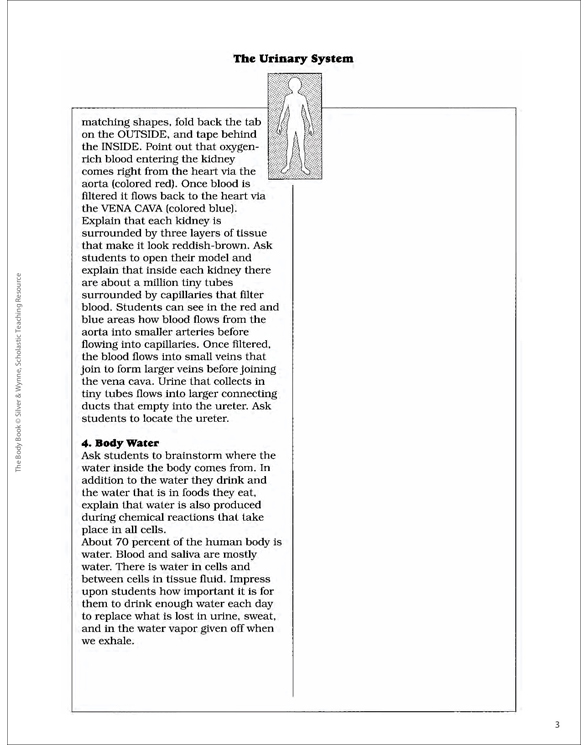 The Urinary System | Printable Lesson Plans and Ideas