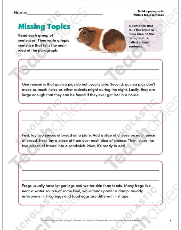 Topic Sentence Worksheet