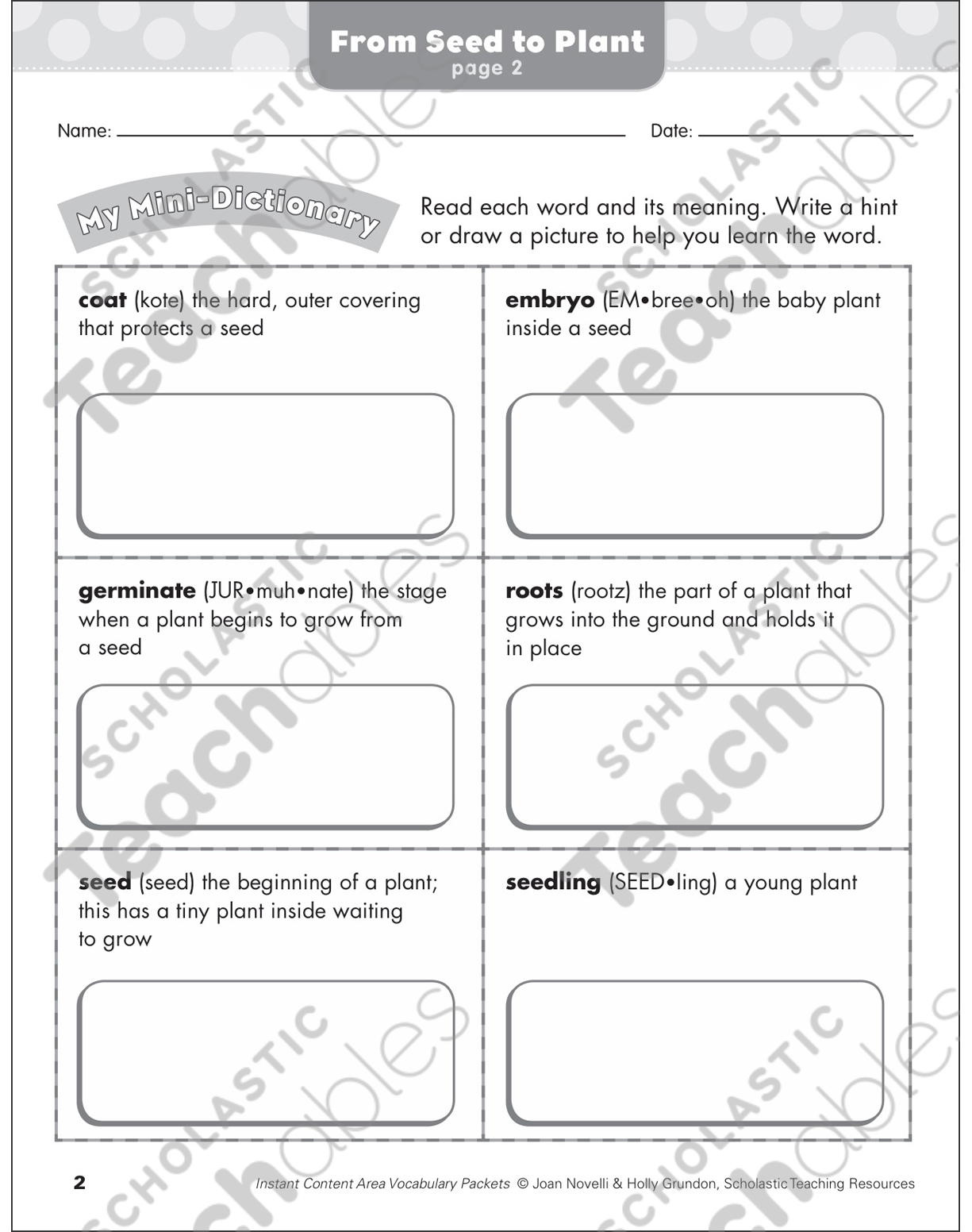 From Seed to Plant: Science Vocabulary | Printable Skills Sheets