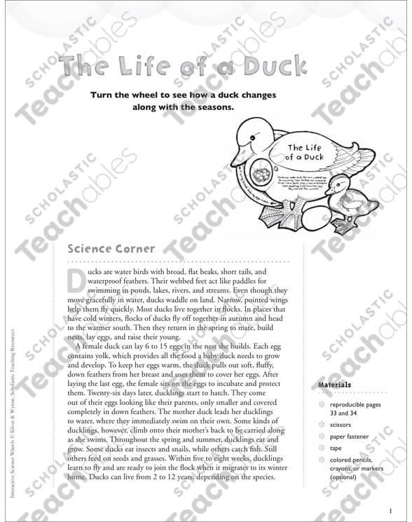 The Life of a Duck: Interactive Science Wheel | Printable Lesson Plans ...