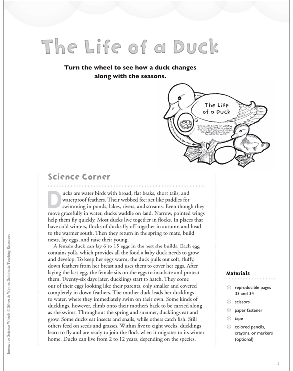The Life of a Duck: Interactive Science Wheel | Printable Lesson Plans ...
