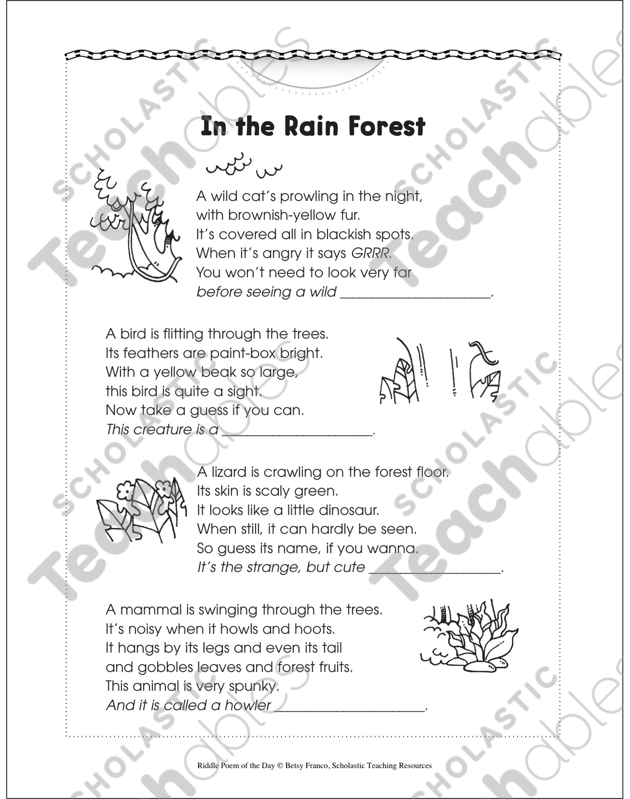 Rainforest Poem Ideas