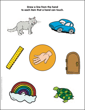 touch sense worksheet