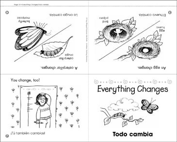 bird life cycle coloring pages