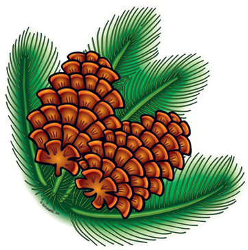 clip pinecone