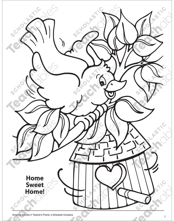 scholastic animal coloring pages