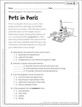 paris worksheet