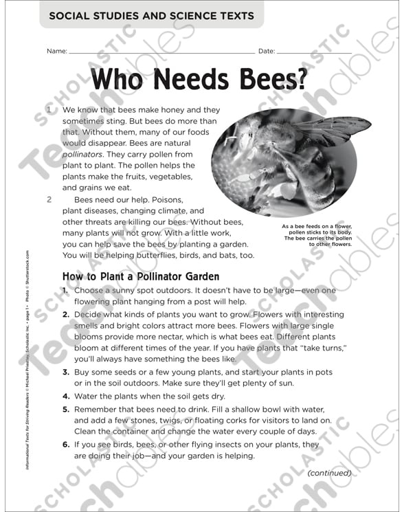 Honey Bee Comprehension