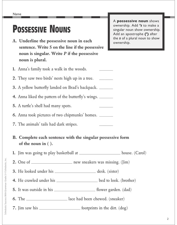 Possessive Nouns (Gr 2–3): Grammar Practice | Printable Skills Sheets