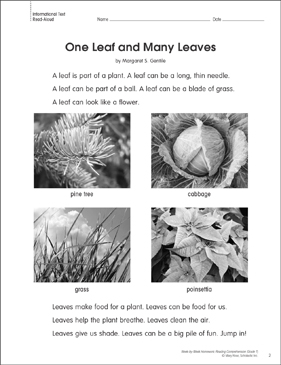 Product Detail Page
