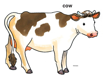 Cow Print Out