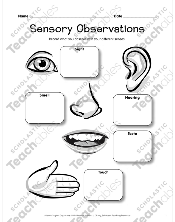 Sensory Observations: Science Mini-Lesson | Printable Graphic ...