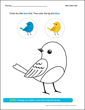 blue bird coloring sheet