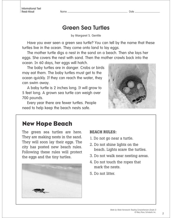 Green Sea Turtles/New Hope Beach: Reading Homework | Printable Skills ...