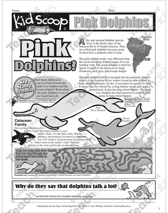 river dolphin coloring pages