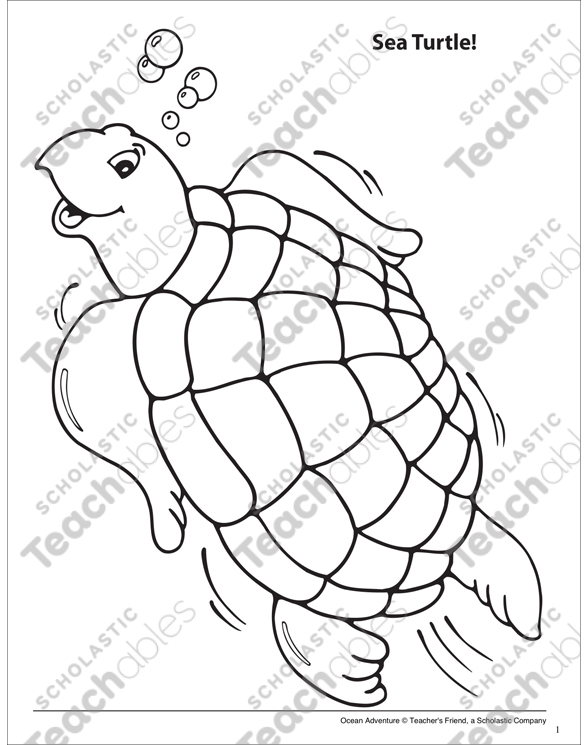 coloring pages of a sea turtle