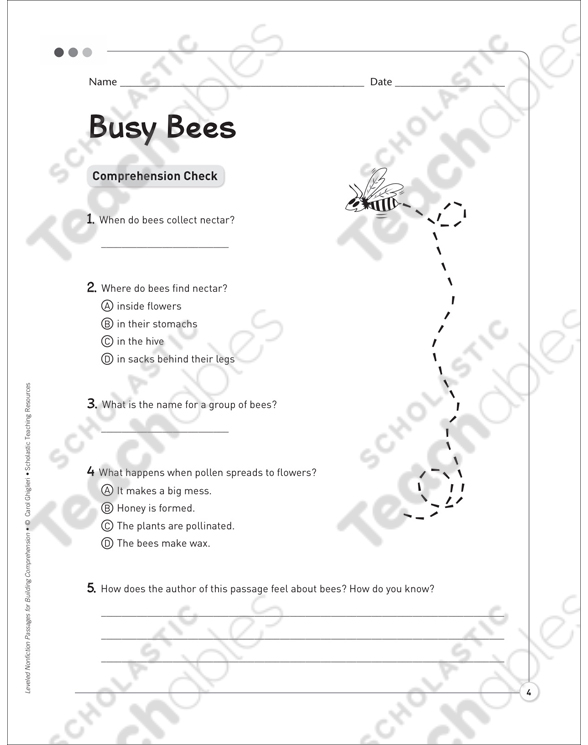 Busy Bees: Leveled Nonfiction Passages | Printable Texts and Skills Sheets