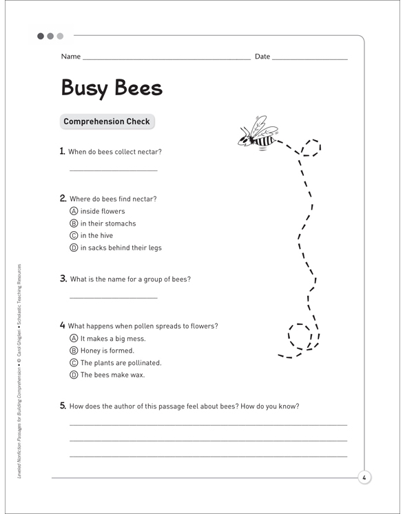 Busy Bees: Leveled Nonfiction Passages | Printable Texts and Skills Sheets