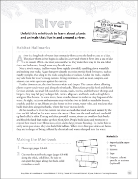 Product Detail Page