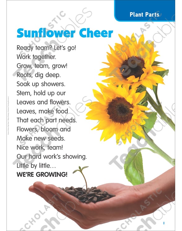 Happy Sunflower Poem 🌻🌞💛 #poetrycommunity #writersofinstagram