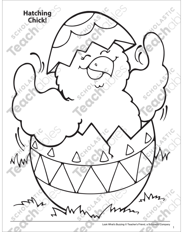 coloring pages of spring animals hatching