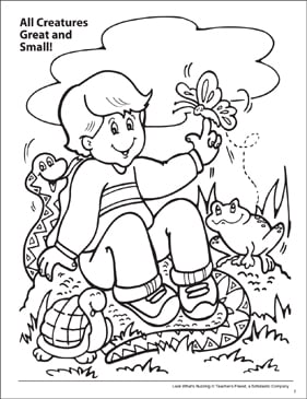 sand and soil coloring pages