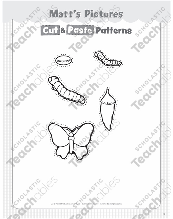butterfly life cycle for kids coloring page