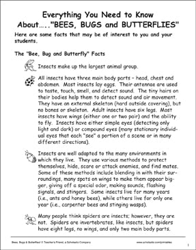 insect fact file template