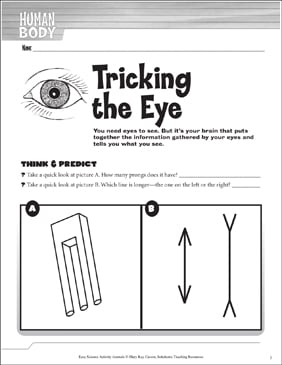 eye worksheet grade 4